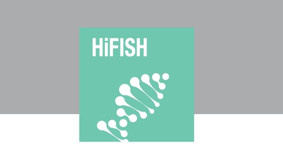 homepage - ASI